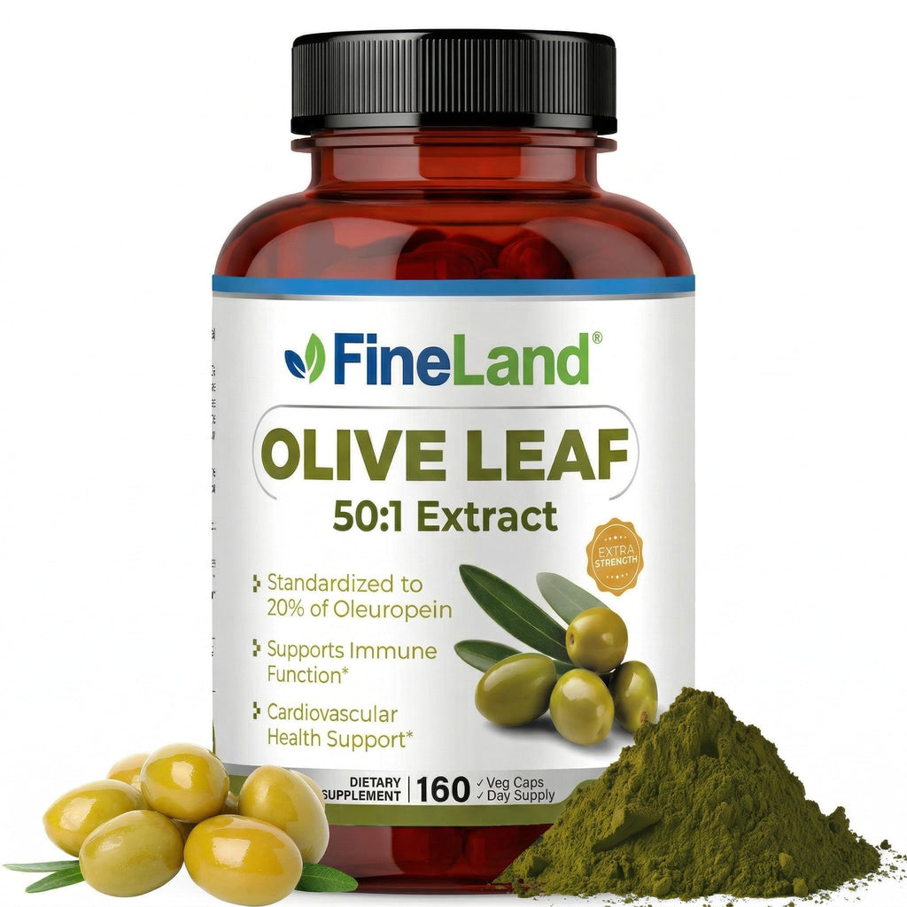olive leaf extract for immune support
