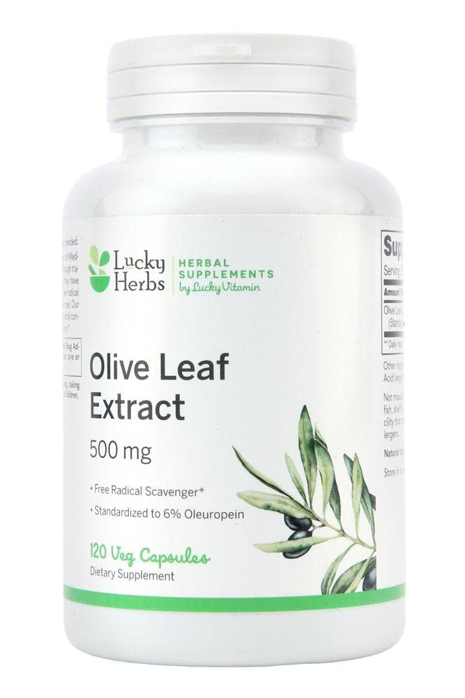 olive leaf extract for immune support