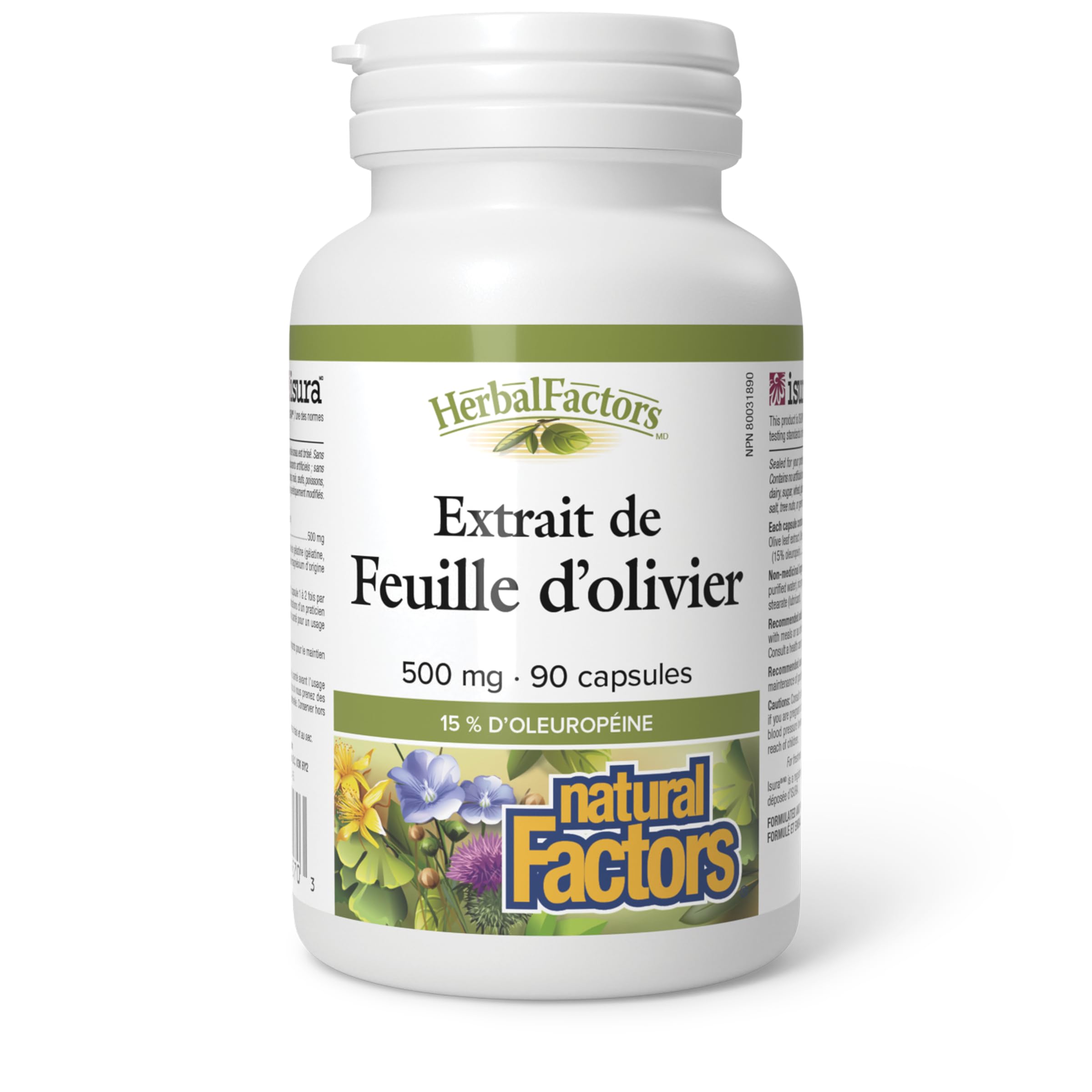 olive leaf extract for immune support