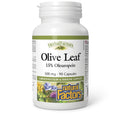 olive leaf extract for immune support
