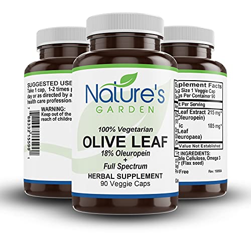 olive leaf extract for immune support