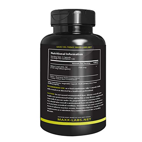 olive leaf extract for immune support