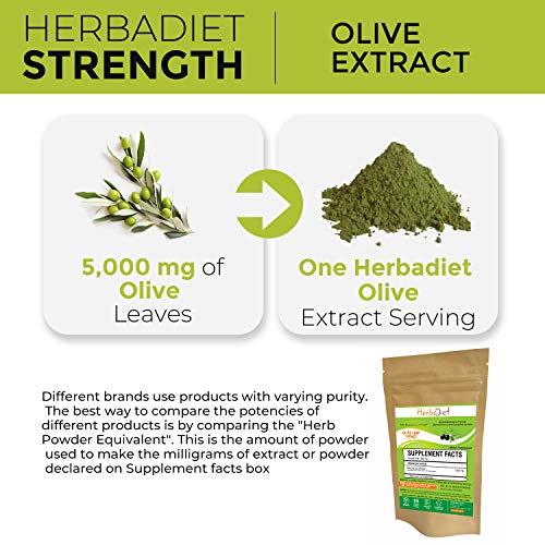 olive leaf extract for overall wellness
