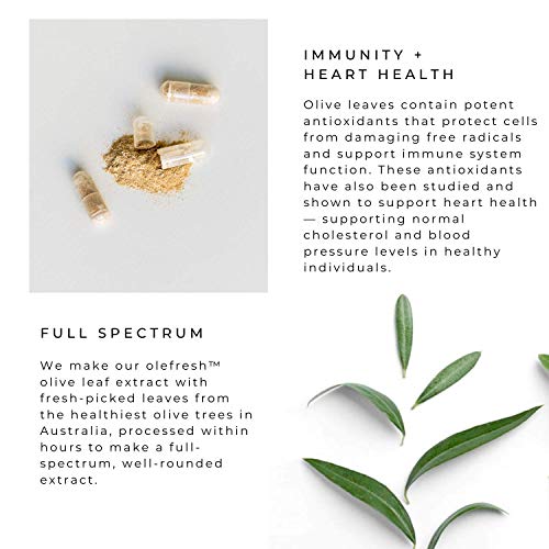 olive leaf extract for overall wellness