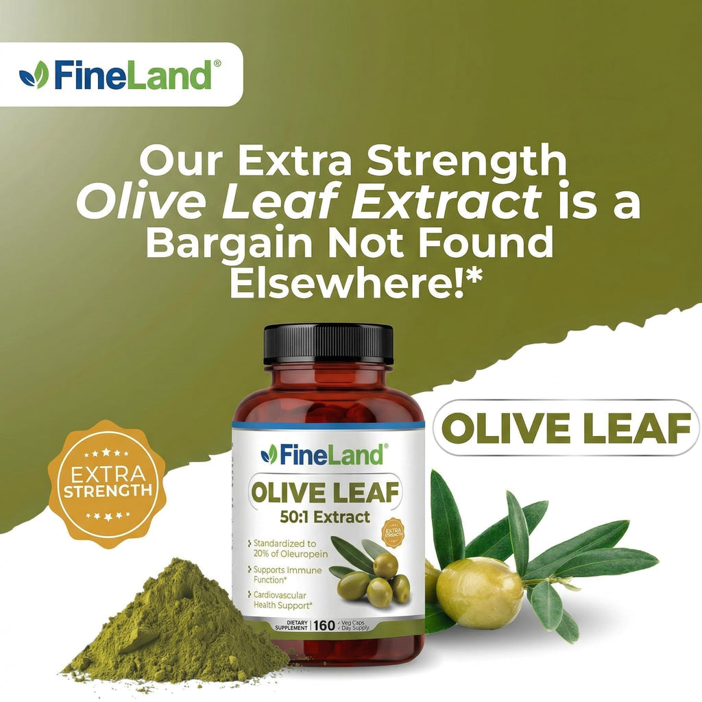 olive leaf extract for overall wellness