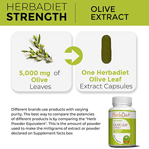 olive leaf extract for overall wellness