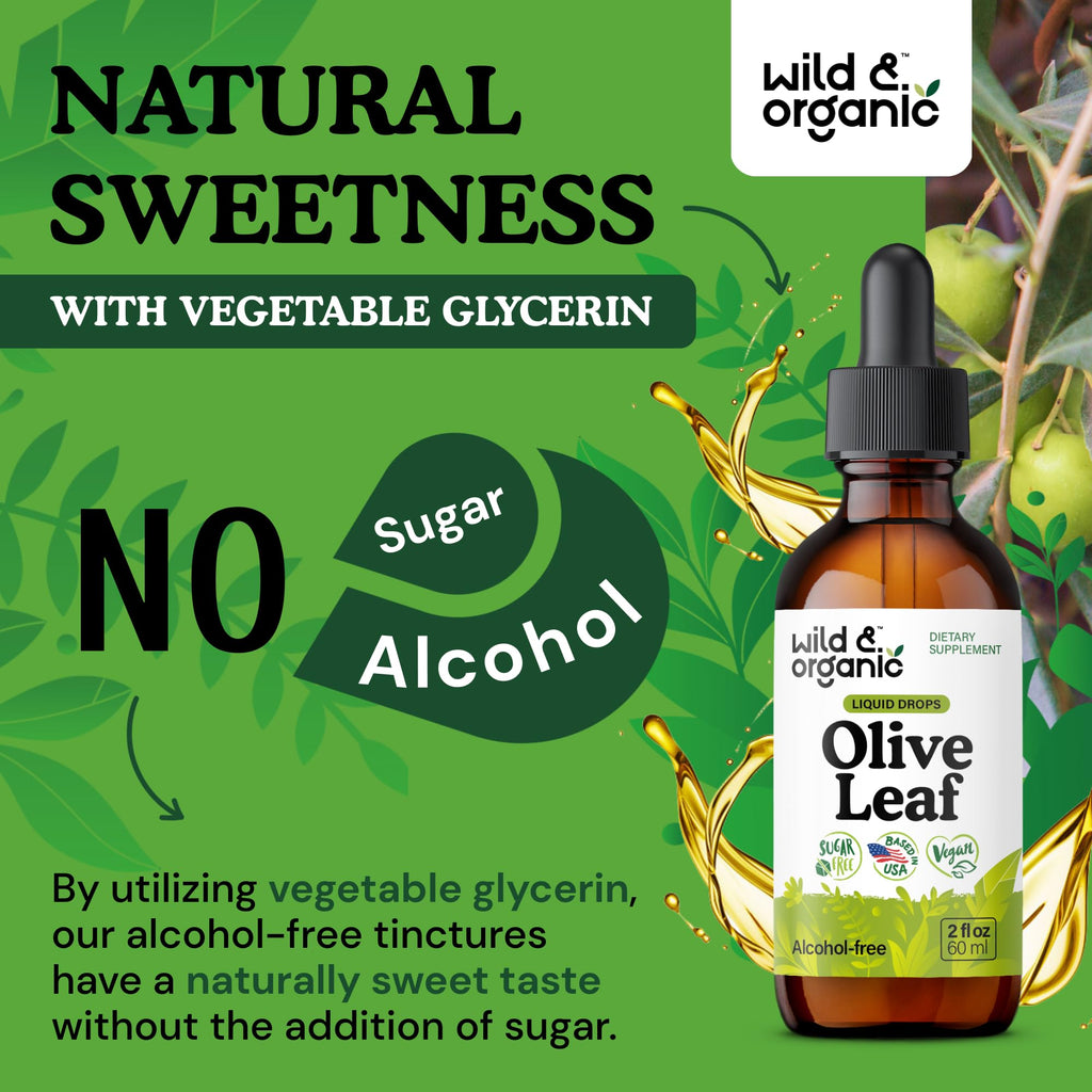 olive leaf extract for overall wellness