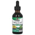 olive leaf extract for wellness