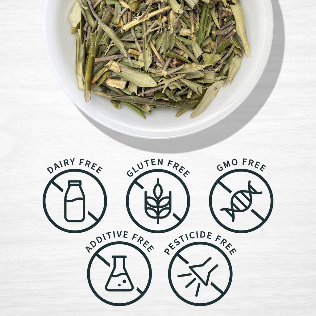 olive leaf extract for wellness