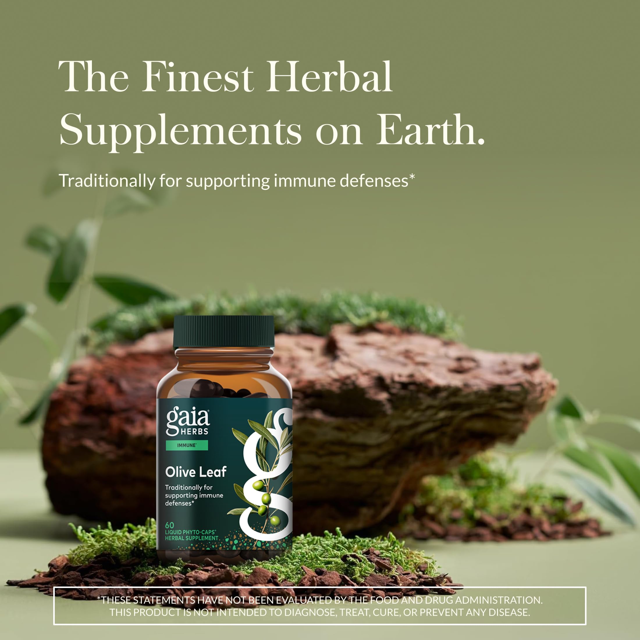 Olive leaf extract for wellness