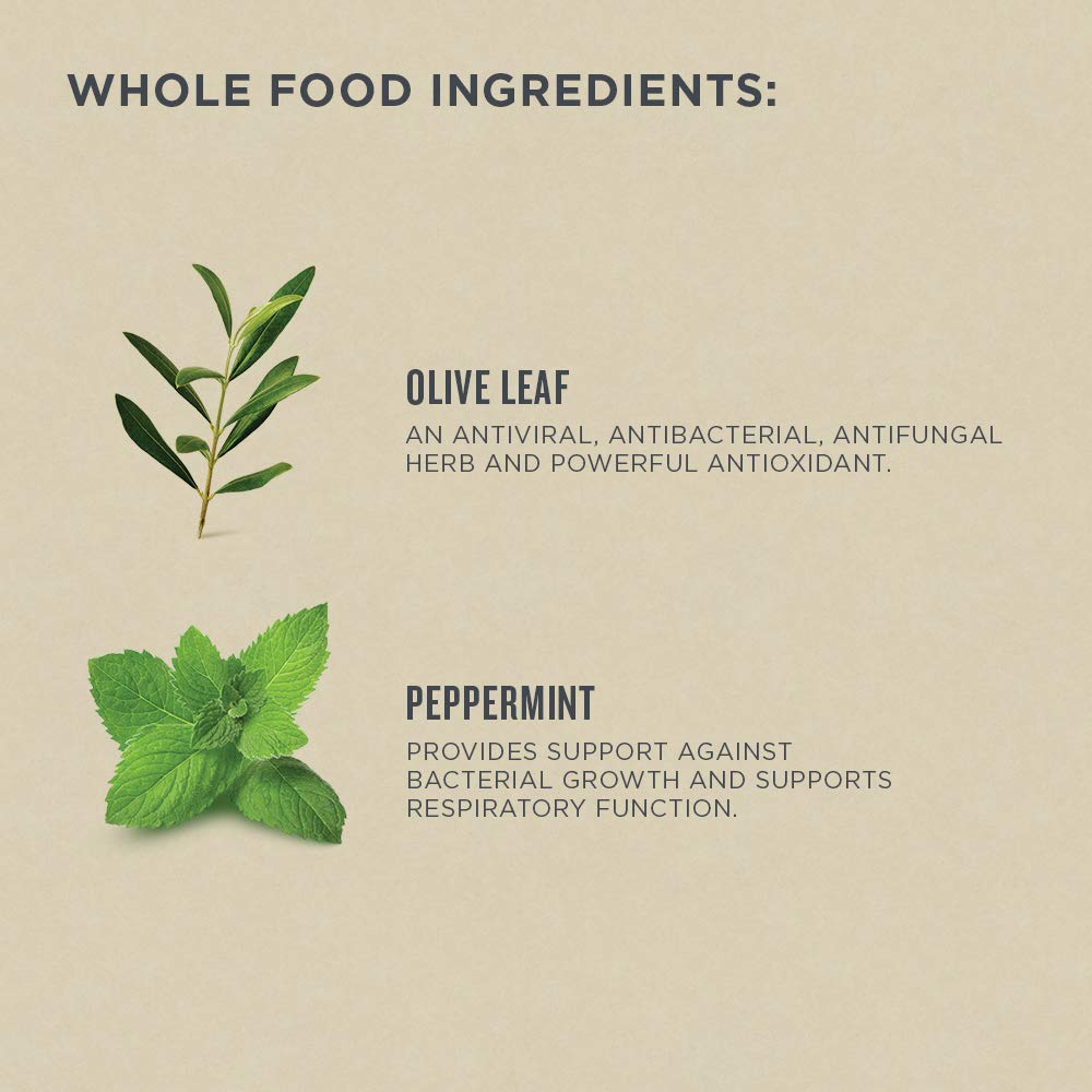 olive leaf extract health benefits