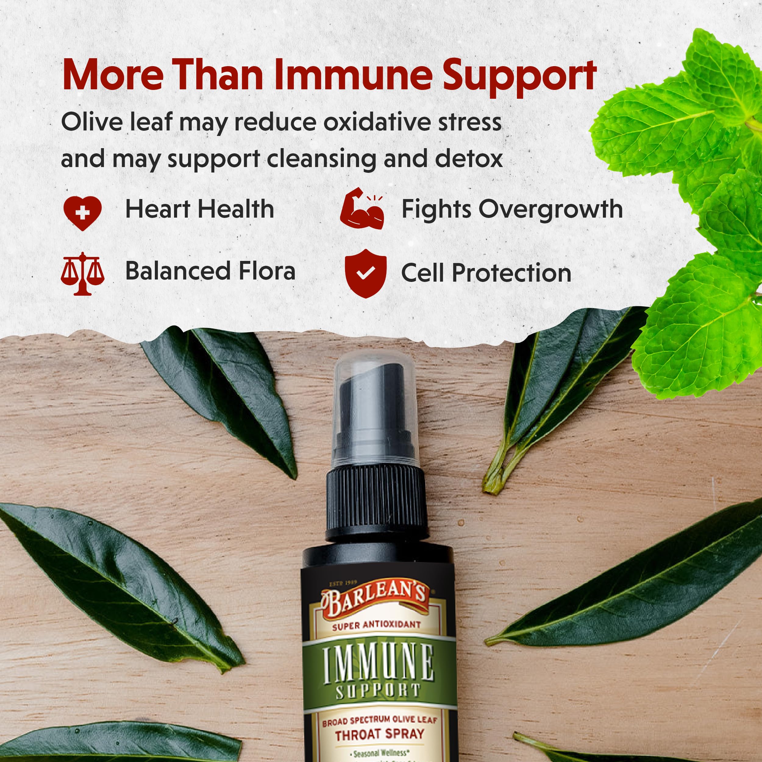olive leaf extract immune booster