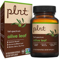 olive leaf extract immune support