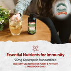 olive leaf for antioxidant protection