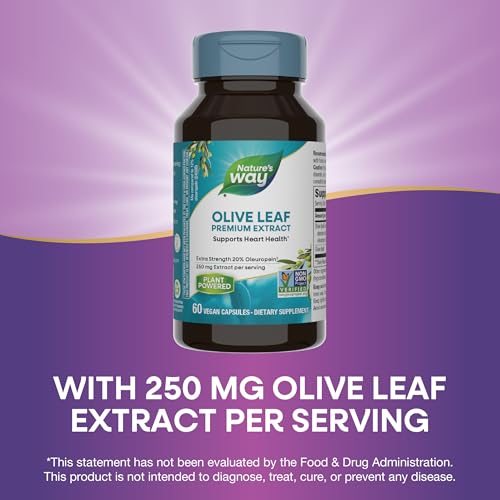 olive leaf for overall wellness