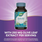 olive leaf for overall wellness