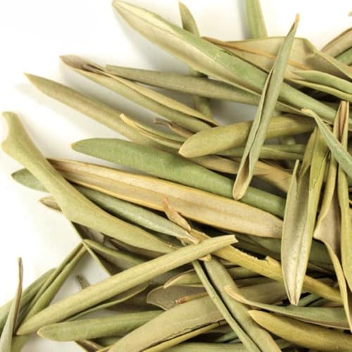 olive leaf herbal supplement benefits