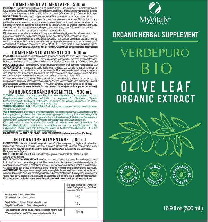 olive leaf oil for immune boost