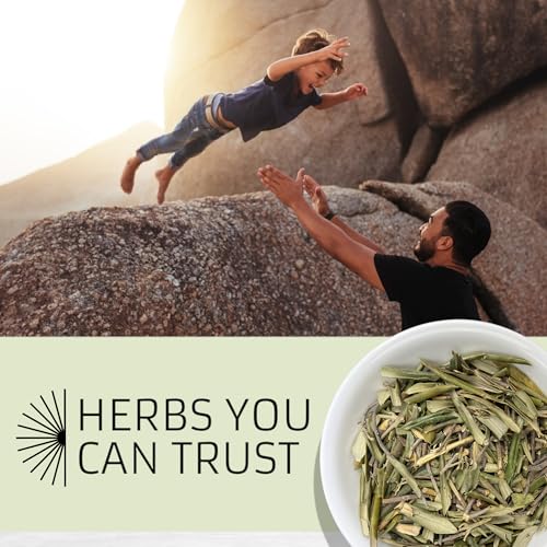 olive leaf oil for skin