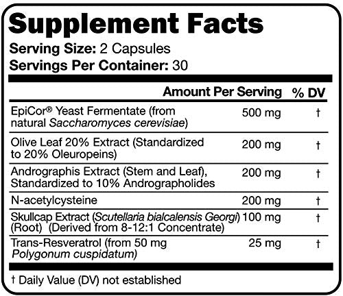 olive leaf tea for immune function