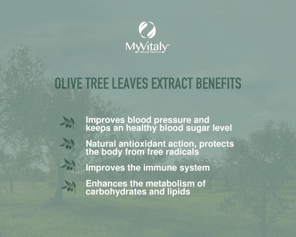 olive leaf tea for relaxation
