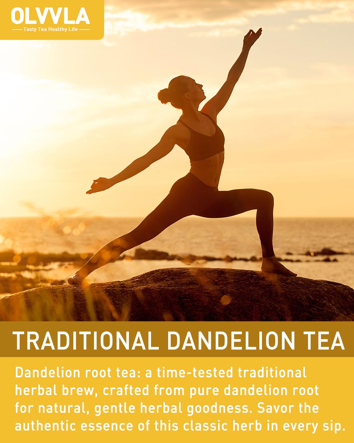 Olvvla dandelion tea for wellness