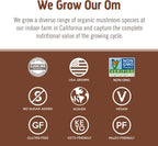OM Mushroom adaptogen for daily wellness