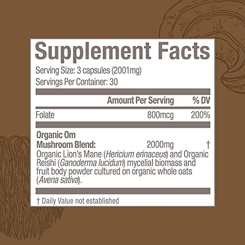 OM Mushroom capsules for energy boost