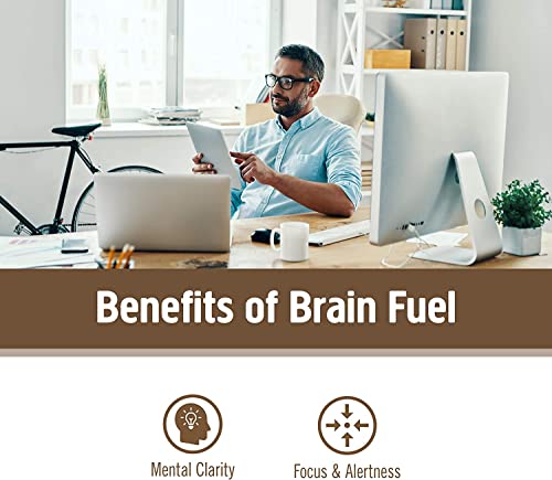 OM Mushroom capsules for enhanced memory