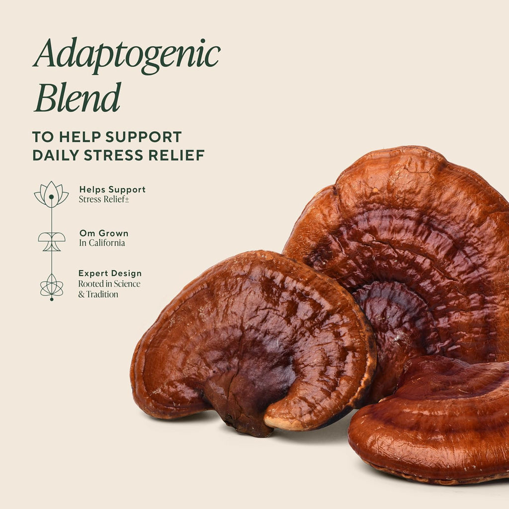OM Mushroom Superfood relaxation