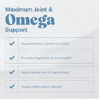 Omax3 kids omega 3 supplement