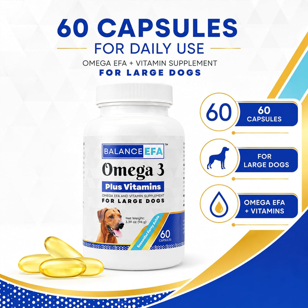 omega 3 benefits for dog wellness