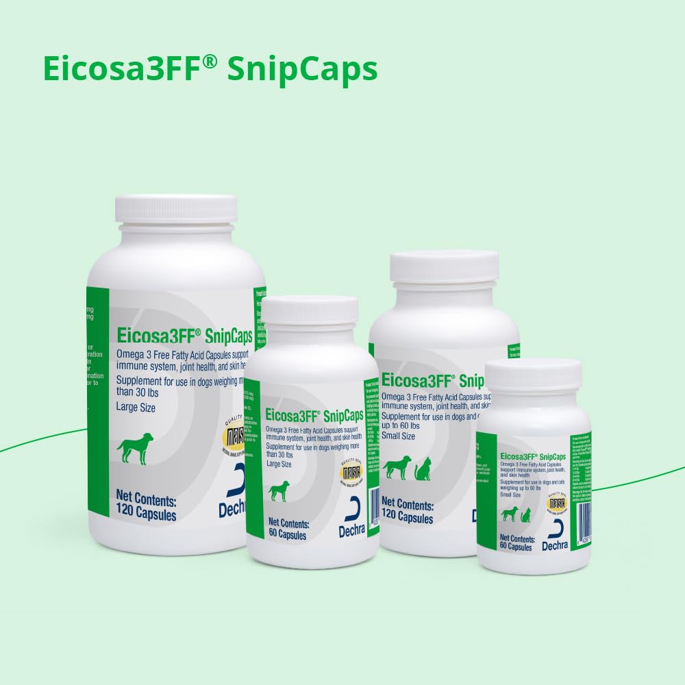 Omega 3 capsules for brain support