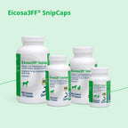 Omega 3 capsules for brain support