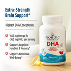 omega-3 DHA for brain support