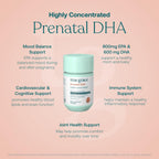 omega-3 DHA for pregnancy health