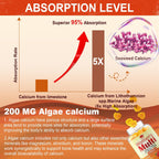 omega 3 enriched multivitamin gummies
