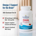 omega-3 fatty acids for brain health
