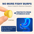 omega 3 fish oil for brain function
