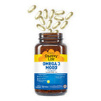 omega 3 fish oil for healthy brain