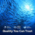 omega 3 fish oil for joint support