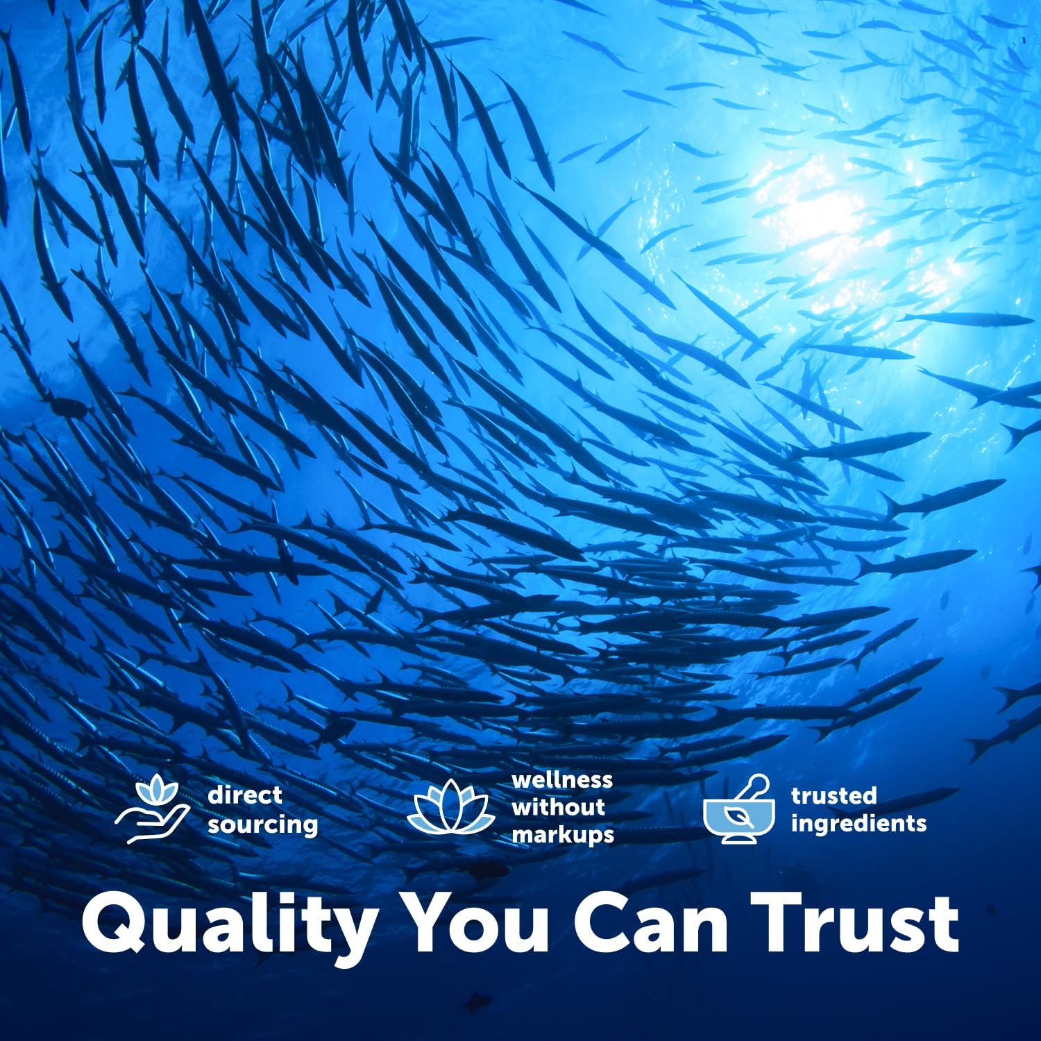 omega 3 fish oil for joint support