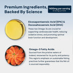 omega 3 fish oil for joint support