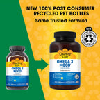 Omega 3 fish oil for mood