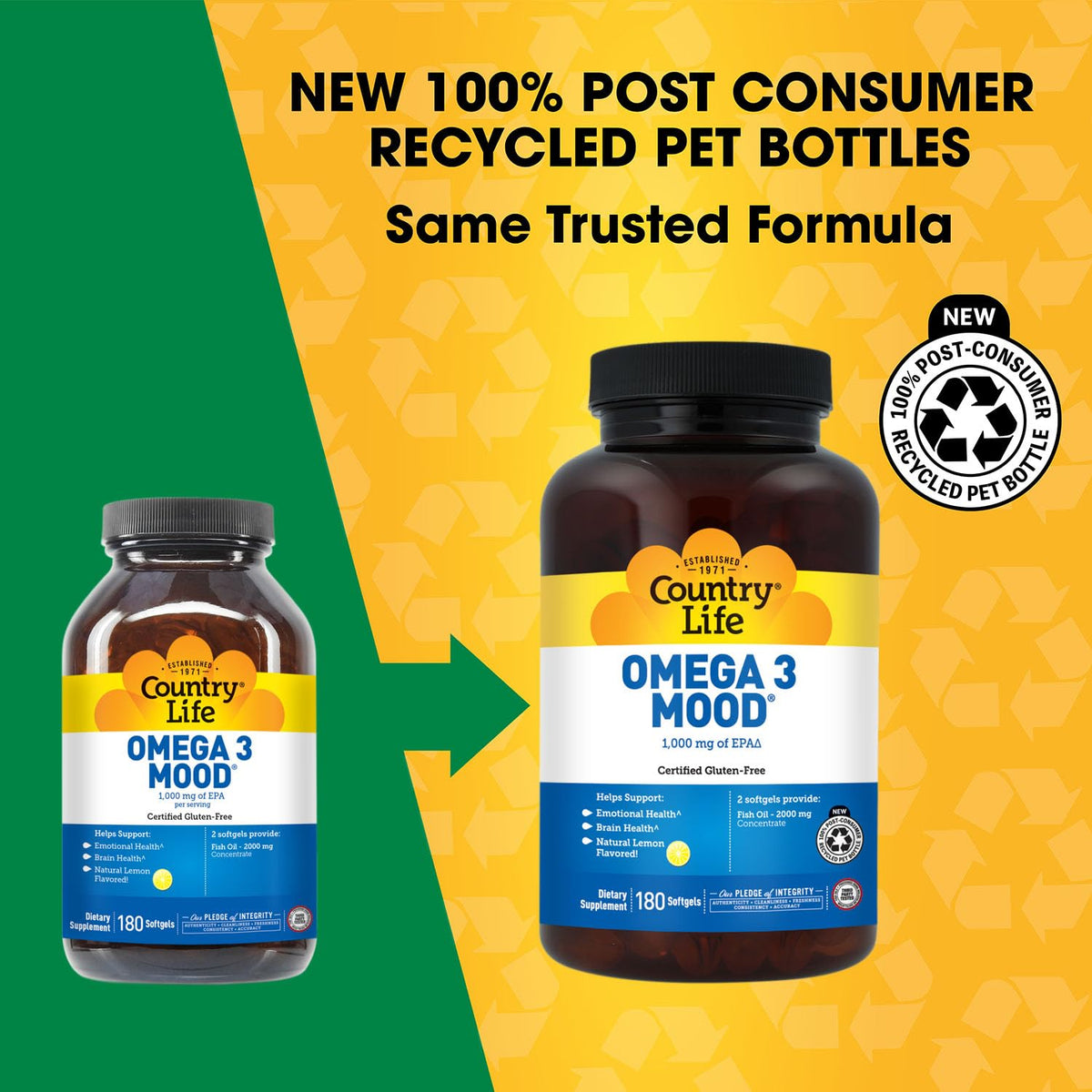 Omega 3 fish oil for mood
