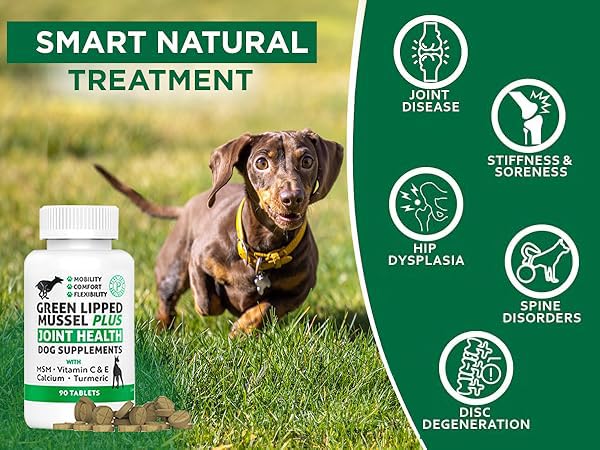 omega 3 for active lifestyles