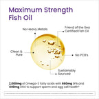 omega-3 for brain function