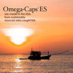omega 3 for brain health