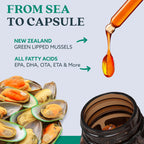 omega 3 for joint health