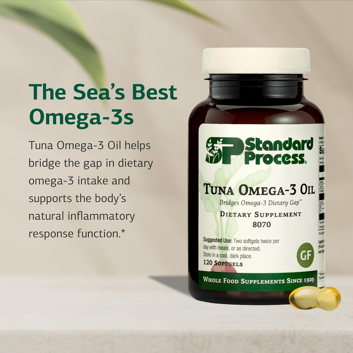 omega 3 for kids health